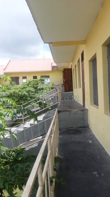 White Rose Pre and Primary School - Gallery