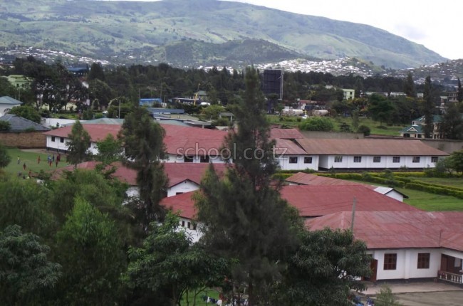 St Mary's International School-Mbeya Forest Campus - Gallery